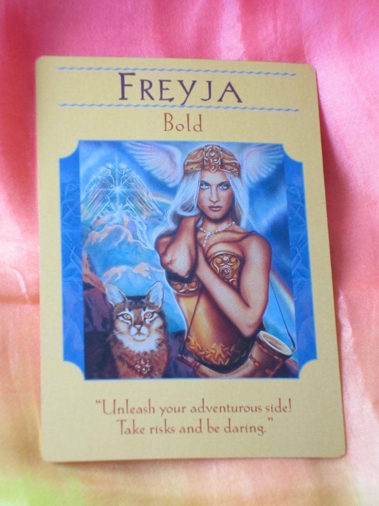 Goddess Guidance Oracle Card For Tuesday ~ Freyja Bold Daily Tarot Girl