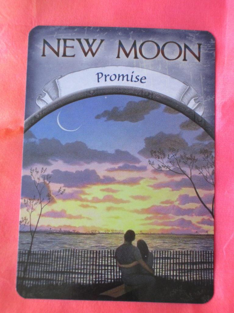 New Moon ~ Daily Oracle Card for Monday - Daily Tarot Girl