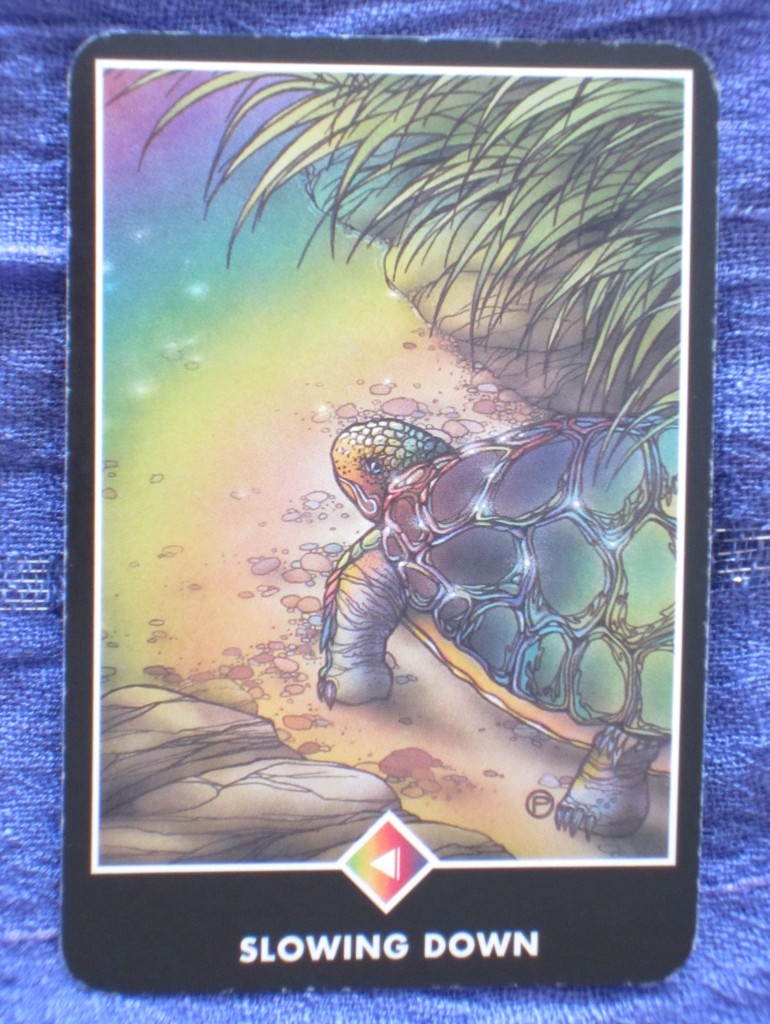 Osho Zen Tarot Card For Monday Daily Tarot Girl Osho Zen Tarot Card For Monday Daily Tarot Girl