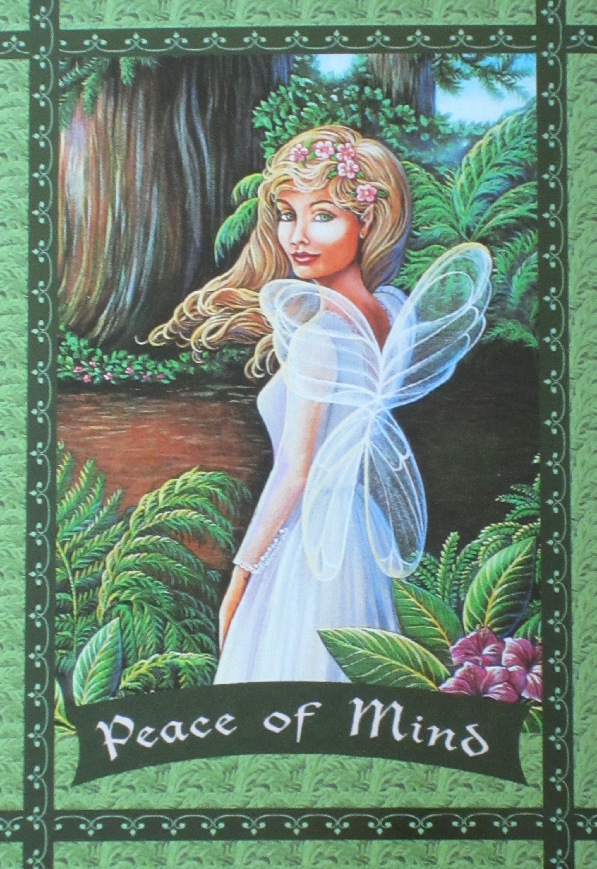 Peace of Mind ~ Oracle Card for Wednesday - Daily Tarot Girl