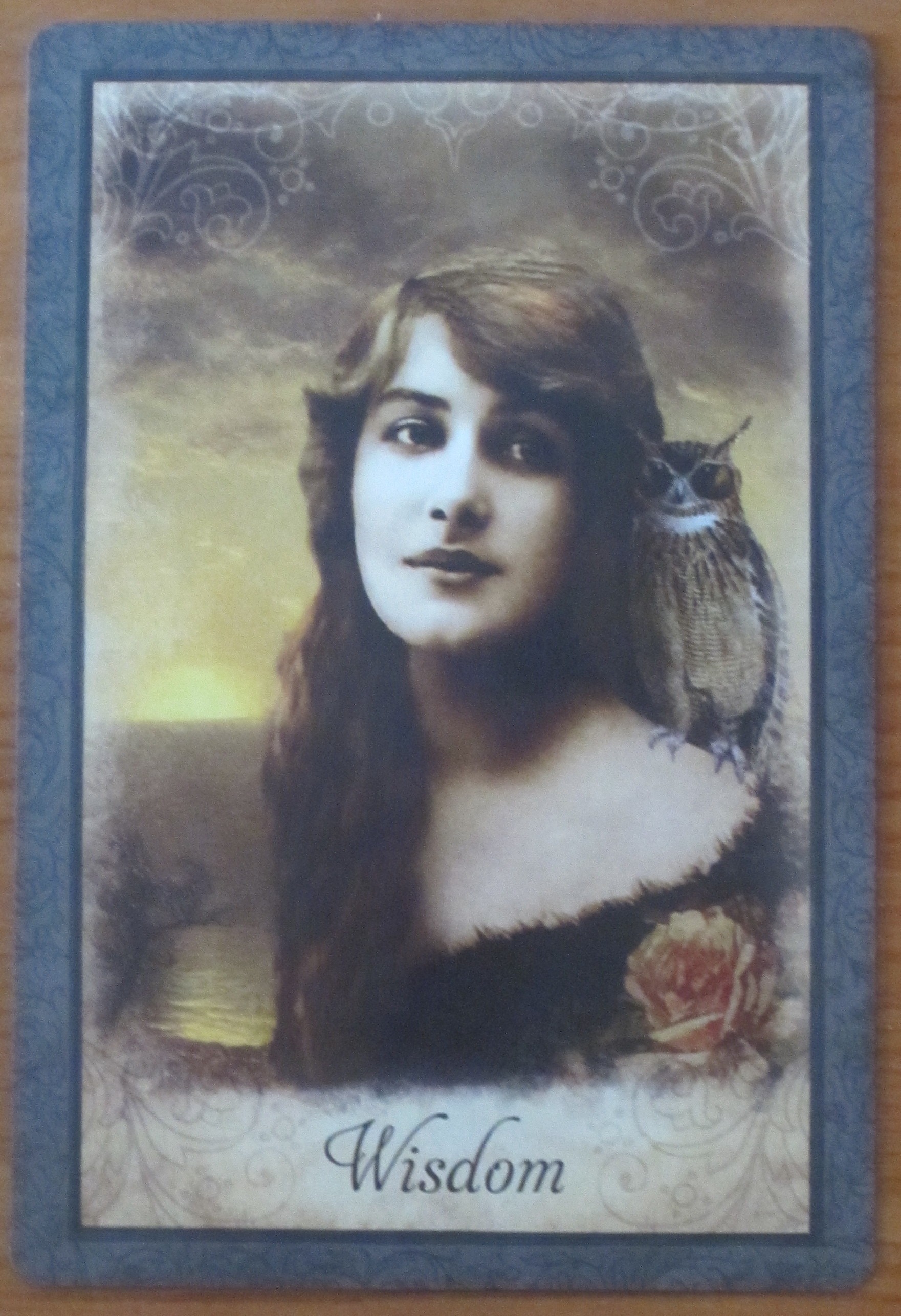 What is true wisdom? Veronica will tell you... - Daily Tarot Girl